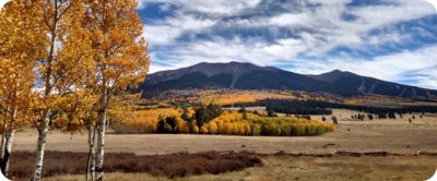 GFFP Awarded WFHF Grant – Forest Treatments Planned for Hart Prairie ...